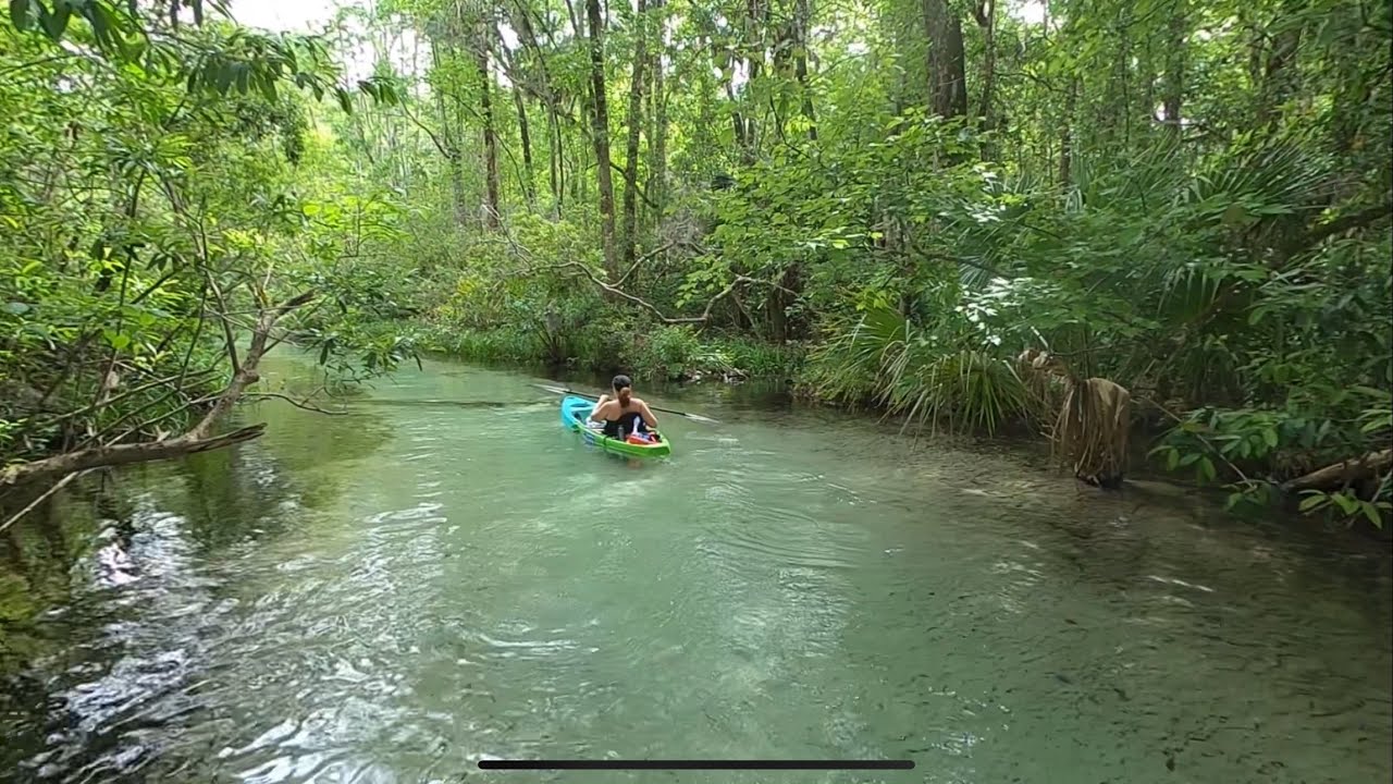 Rainbow River Kayak and Snorkel Adventure - YouTube