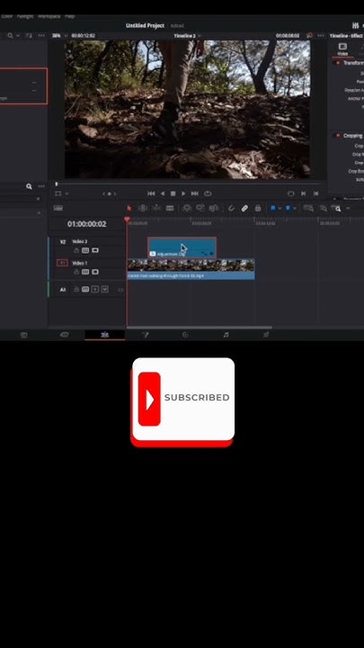 Add Fake Camera Movement Effect In Davinci Resolve Videoediting Shorts Youtube