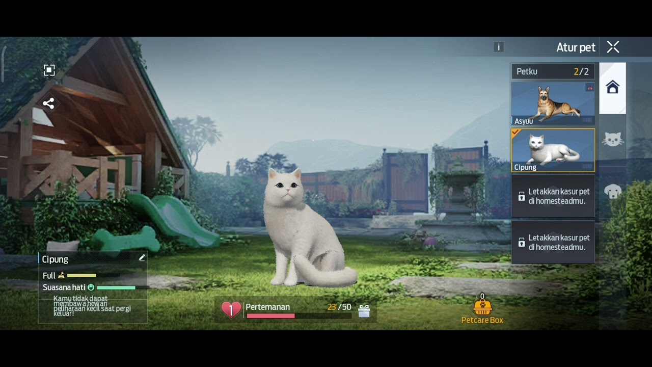 Cara ngebug/ ngeluarin kucing di map game undawn - YouTube