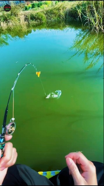 Best rod mini for catching big fish in river #fishing #unique #shorts # ...