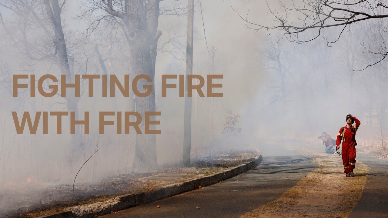 Fighting fire with fire in Ontario: Using prescribed burns in the fight ...