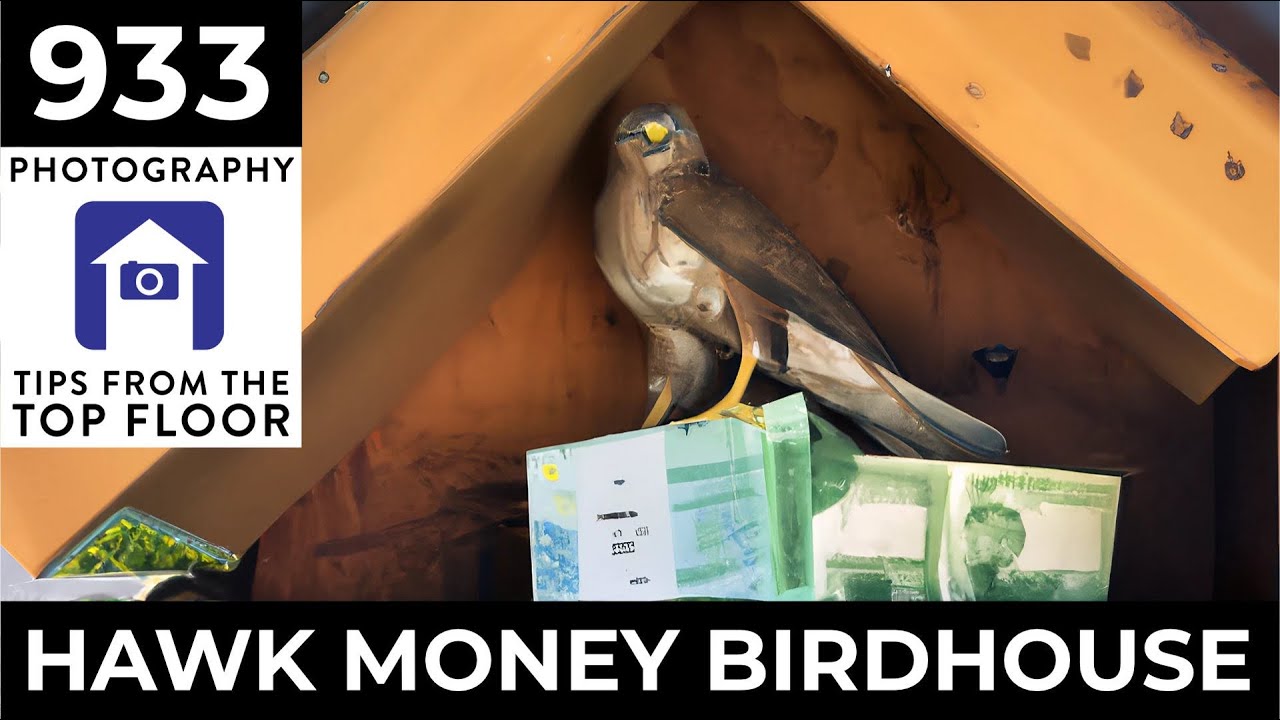 933 Hawk Birdhouse and the Mickey Mouse Camera - YouTube