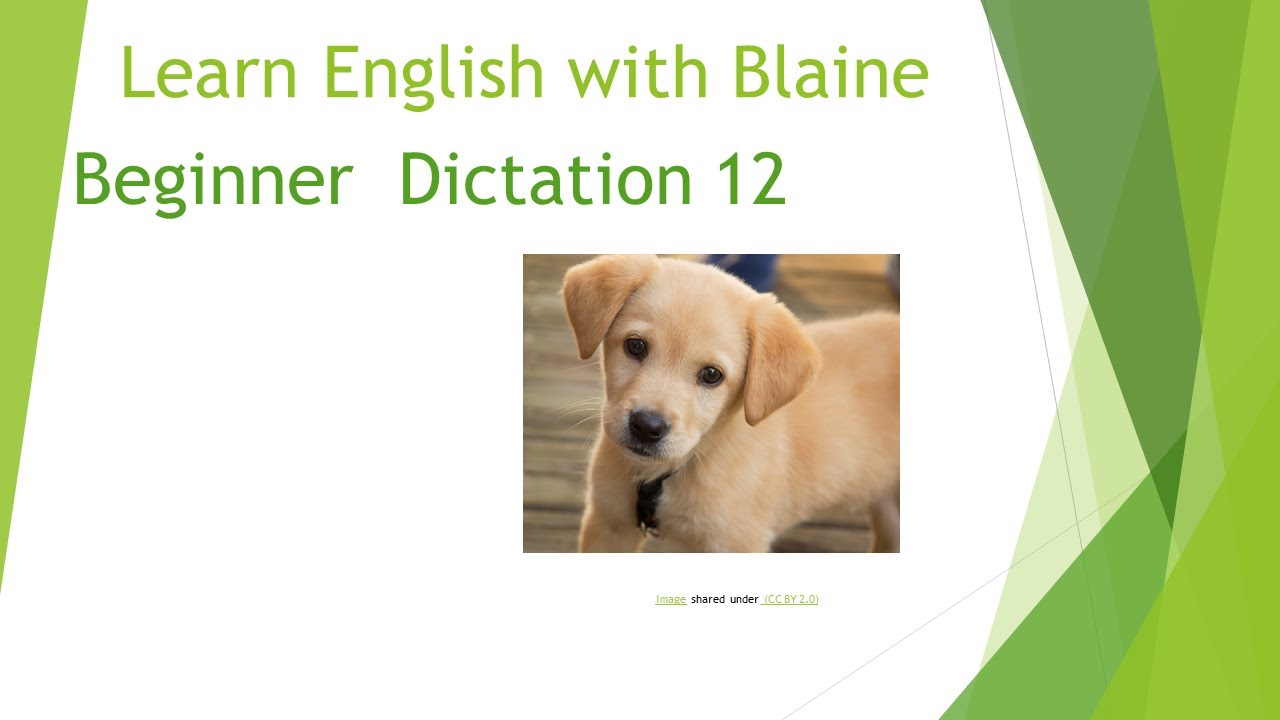 English Listening practice: Beginner Dictation 12 - YouTube