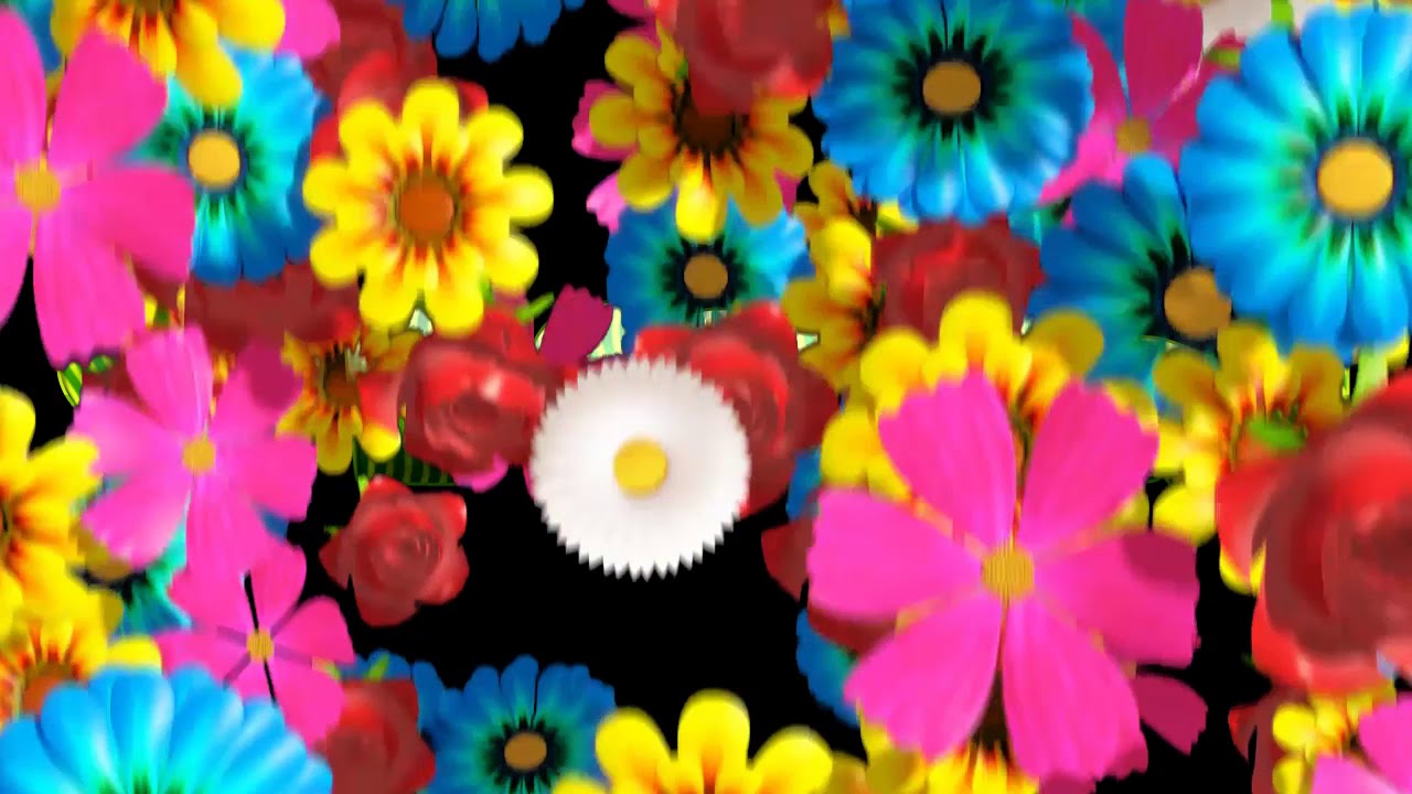 Intro Outro video for Channel - Multi Flowers Transition - YouTube