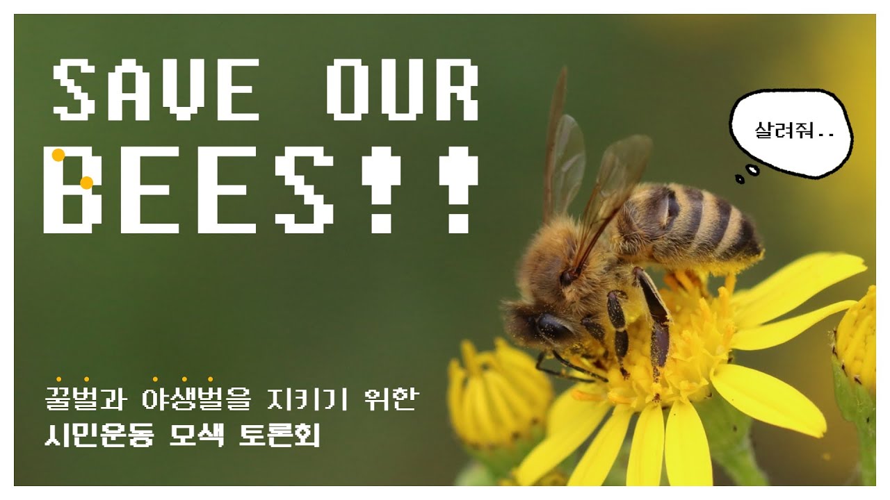 꿀벌과 야생벌을 지키기 위한 시민운동 모색 토론회 Youtube