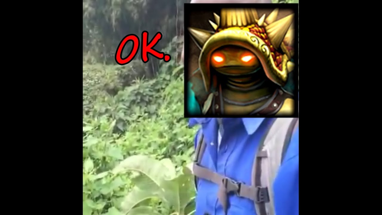 Black man "Okay" VINE Rammus version - YouTube