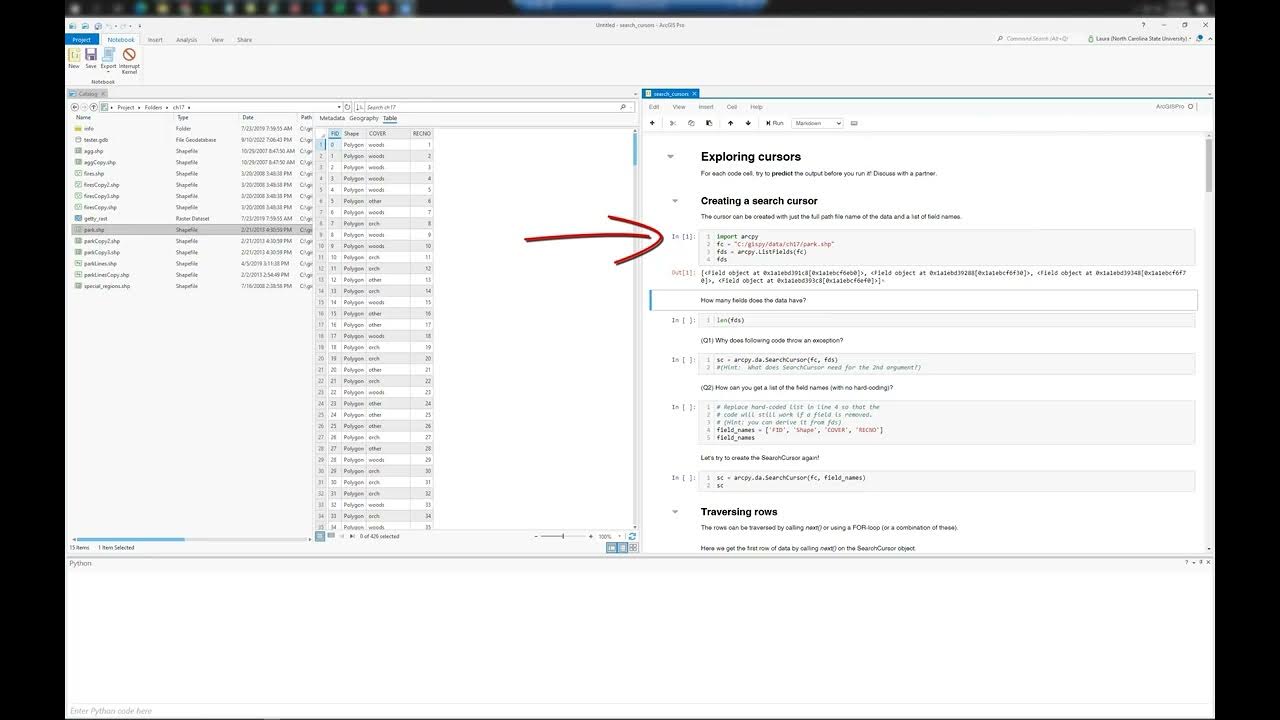 Run a notebook in ArcGIS Pro - YouTube
