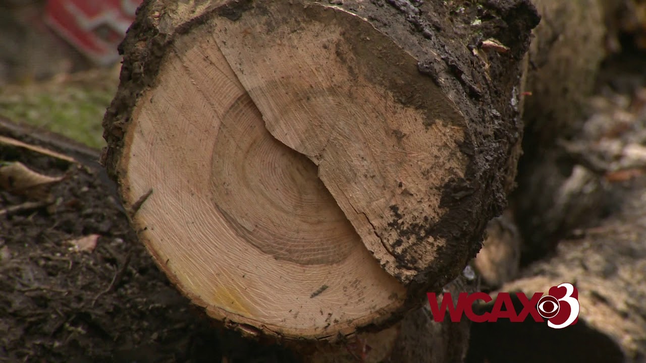 WCAX: Super Senior Orvil Coombs : Air Date 10/22/2015 - YouTube