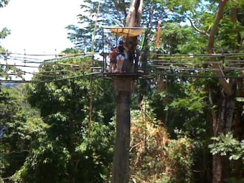 sasa on a 60-foot tree drop adventure