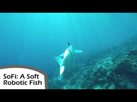 SoFi: Exploration of underwater life with an acoustically controlled ...