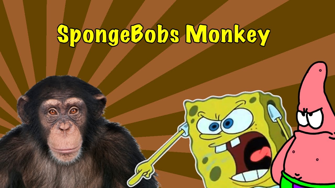 Spongebob Parody: SpongeBobs Monkey - YouTube