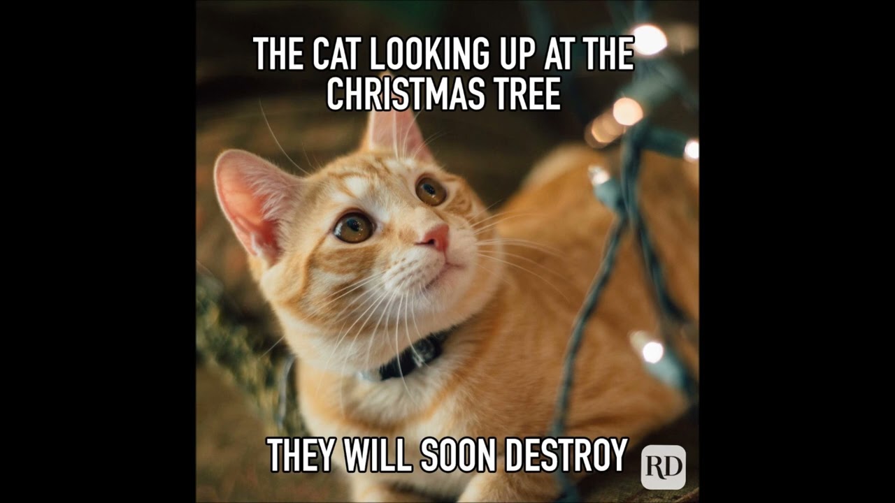Funny Early Christmas Memes
