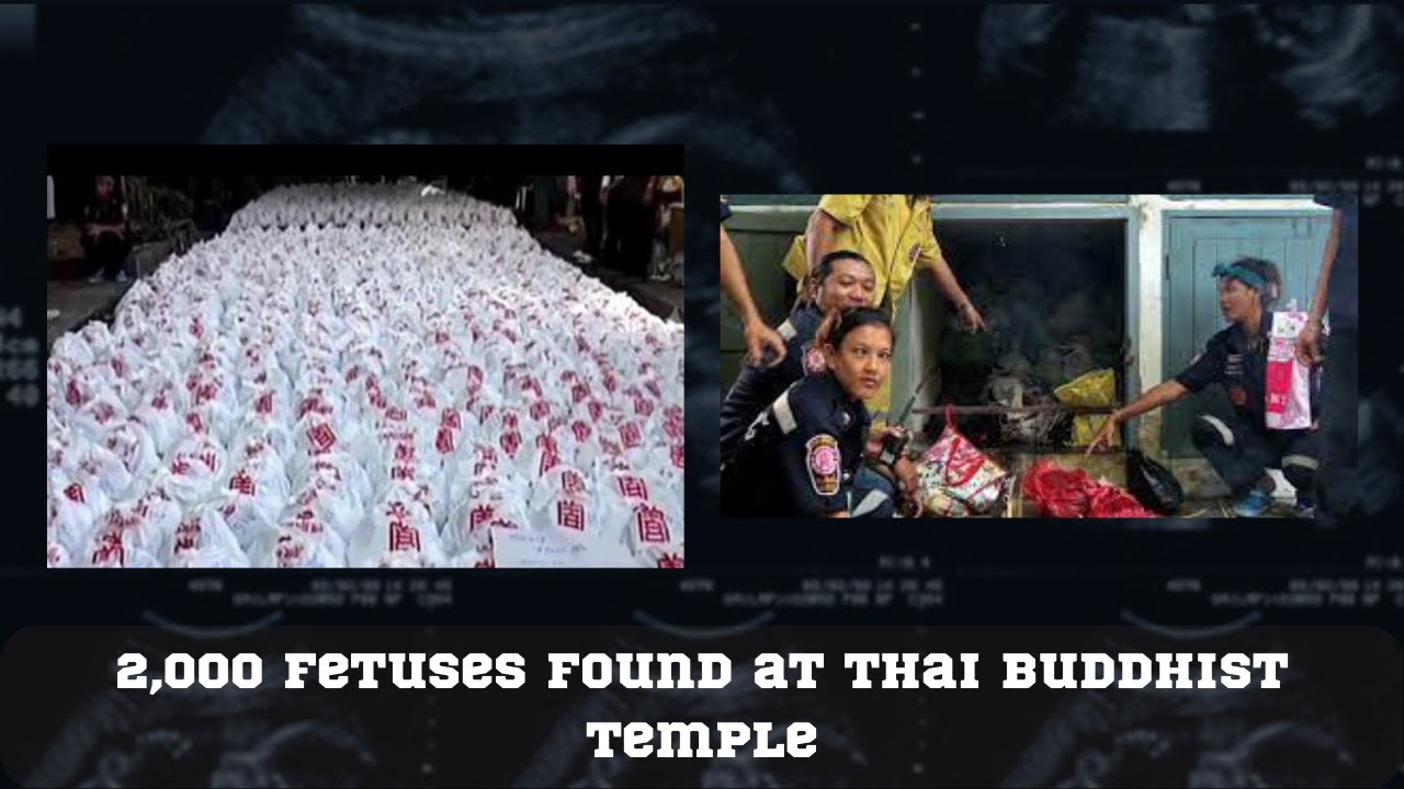 Shocking Discovery: 2,002 Fetal Remains Found in Bangkok Buddhist ...