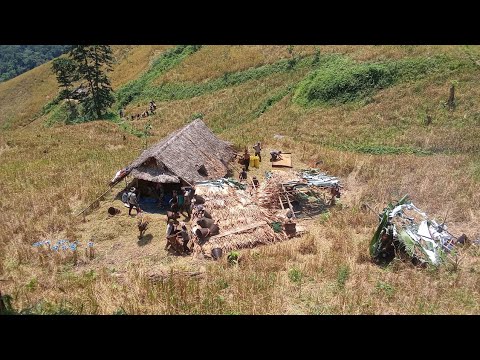 Rice Harvesting Konyak Naga style#@alemkonyak6200 - YouTube