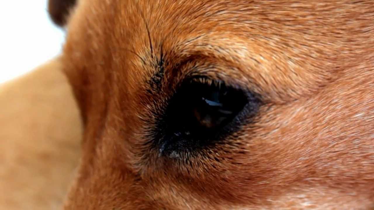 Luke Elmer - Video Portfolio Summer 2012 - YouTube