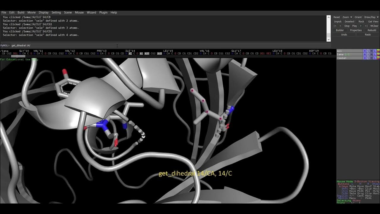 Pymol Tutorial: How to Change Torsion Angle - YouTube