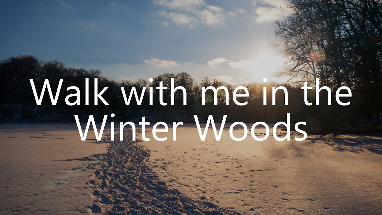 A Walk in the Winter Woods - A Photo Story - YouTube