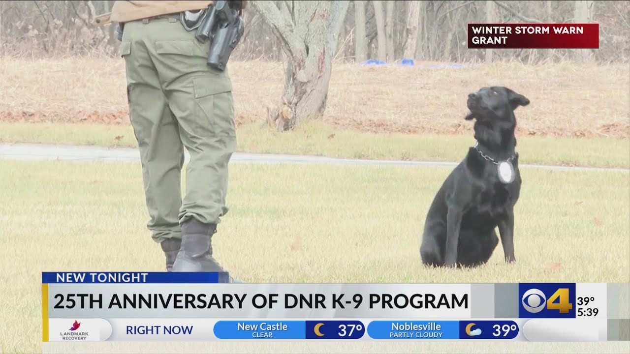 Indiana DNR K-9 program celebrates 25th anniversary - YouTube