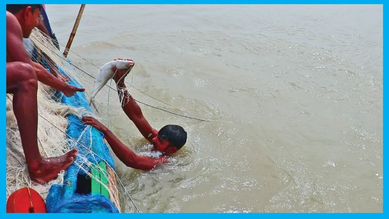 Amazing Fast Hilsa Fishing Skill (PART 88) - Catching Hilsa Fish Big in ...