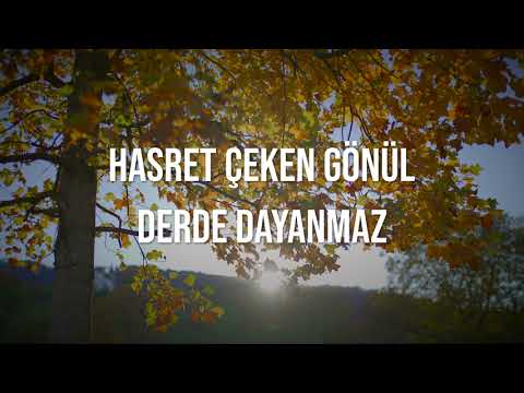 Şükriye Tutkun - Uyan Sunam Uyan [Şarkı Sözleri] | Gücüm Yetene Kadar (2005)