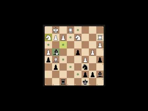 10l5 Rapid Amatör Satranç Yayını