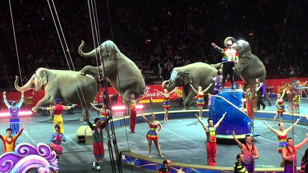Circus 2016 last time elephants perform - YouTube