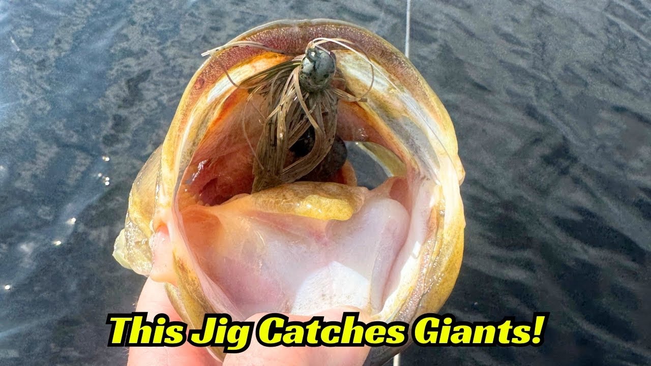 This Compact Jig Catches GIANTS!! - YouTube