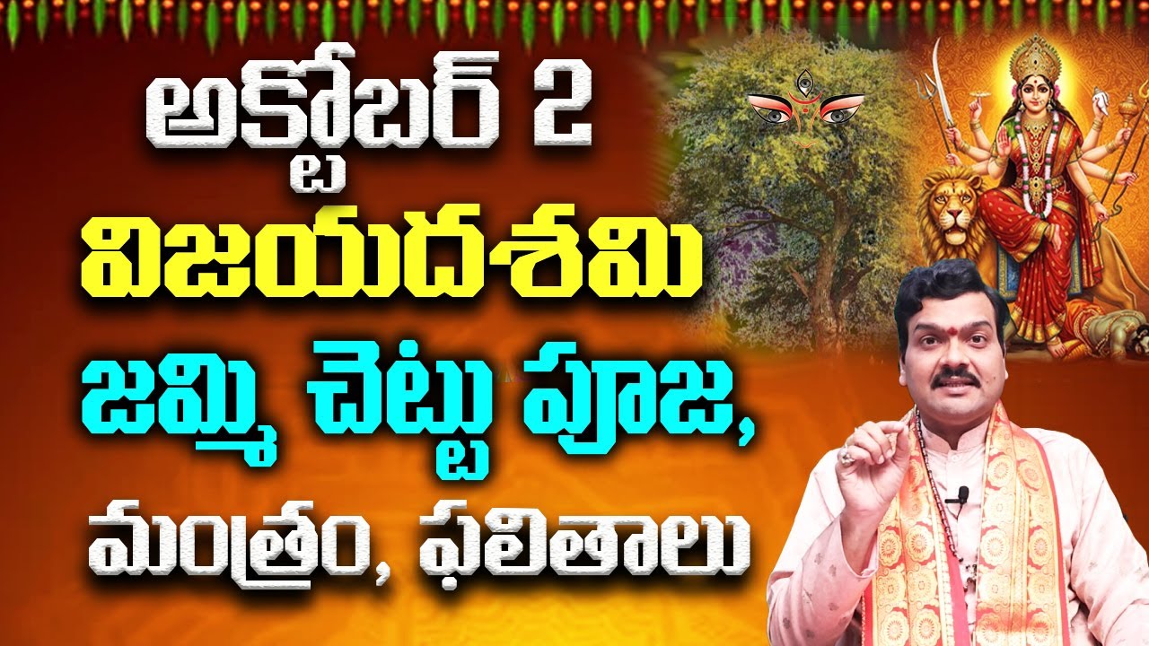 అక్టోబర్ 2 విజయదశమి జమ్మిచెట్టు పూజతో కలిగే అద్భుత ఫలితాలు | Vijaya ...