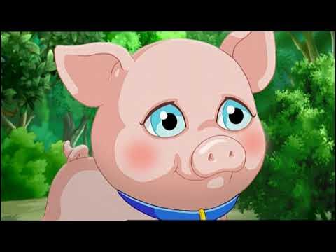 Moji džepni ljubimci epizoda 22 - durilijin odgovor (2.deo) - YouTube