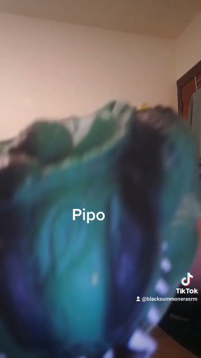 Pipo - YouTube