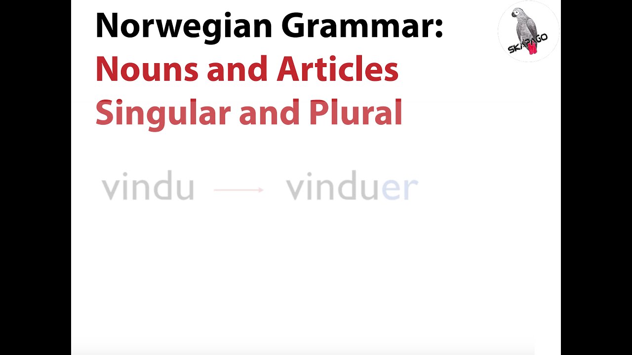Norwegian Grammar: Nouns and Articles - Singular and Plural - YouTube