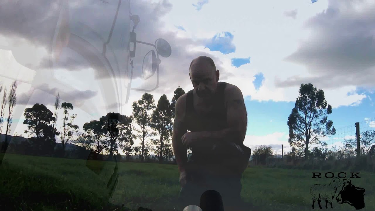 Shooting cattle explaination - YouTube