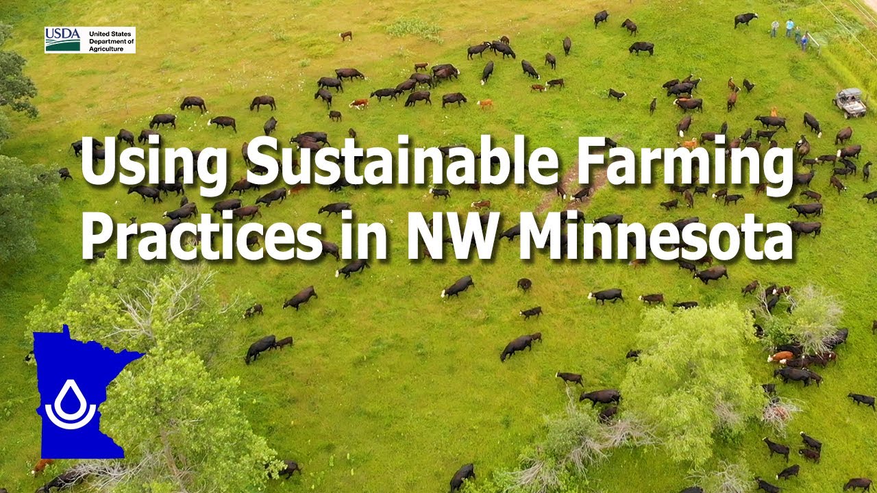 Using Sustainable Farming Practices in Northwestern Minnesota - YouTube