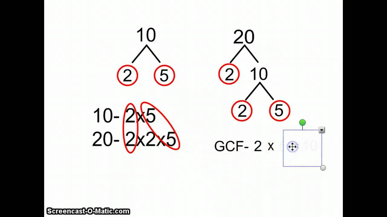 Why We Use Prime Factorization YouTube Why We Use Prime Factorization YouTube