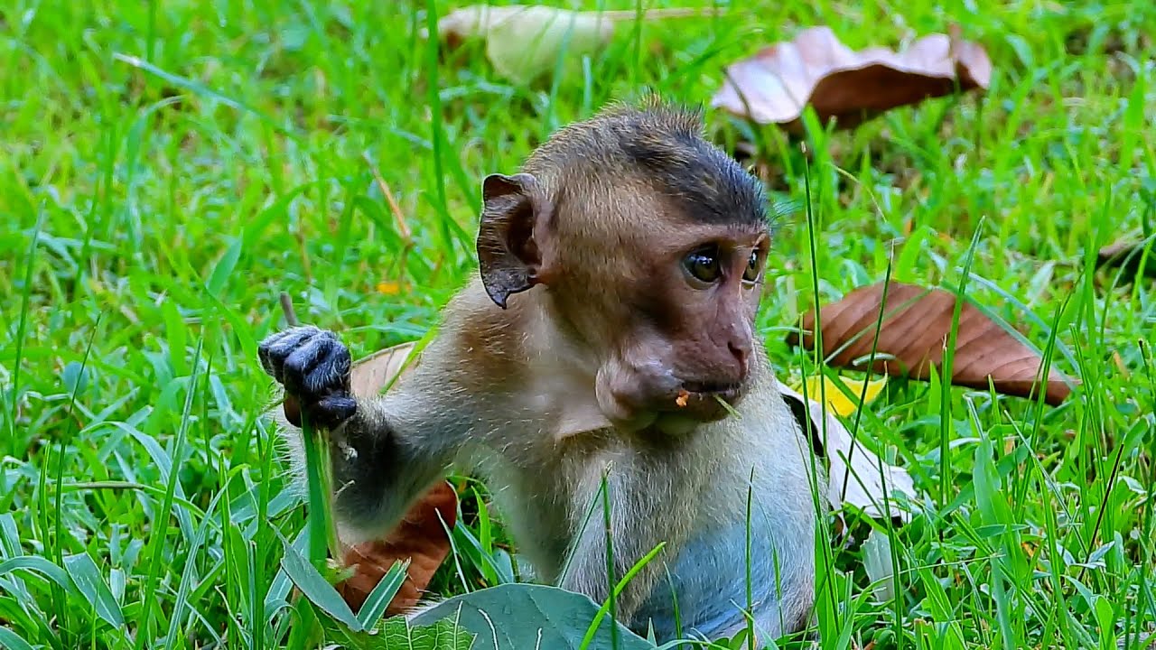 Meet Our Super Mateo today - YouTube