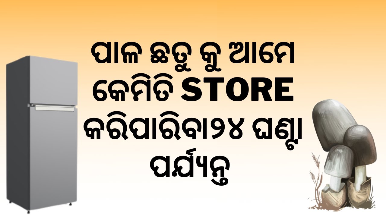 How to store Paddy Straw Mushroom | Paddy straw mushroom | pala chatu ...