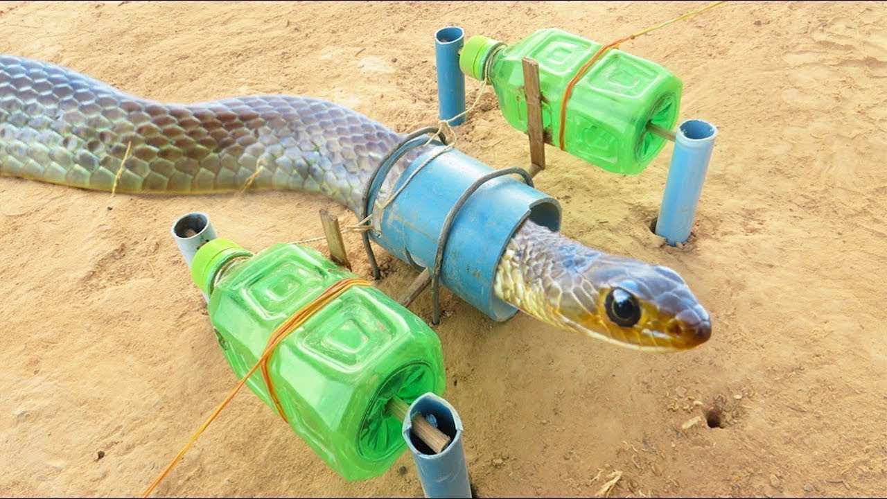 Easy Snake Trap Simple DIY Creative Snake Trap make from plastic bottle ...