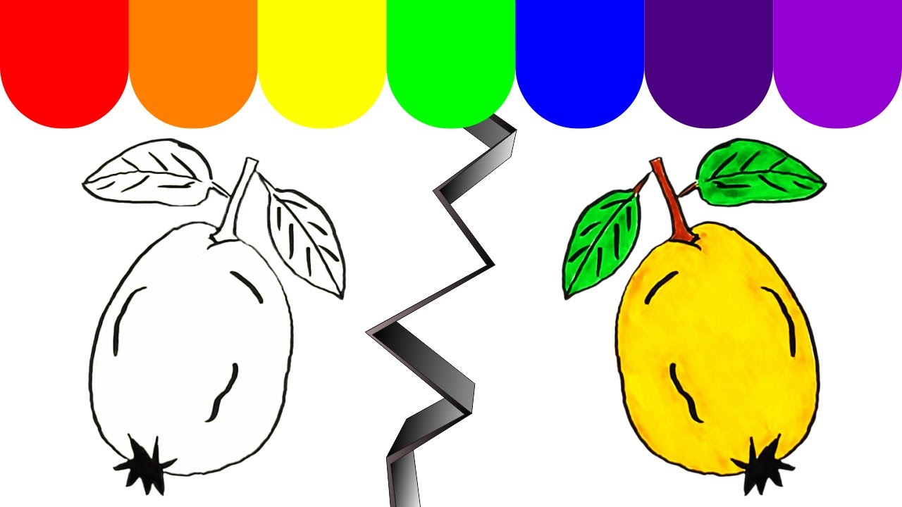 How to draw a QUINCE | Fall fruits drawing | Magic coloring | Drawing ...