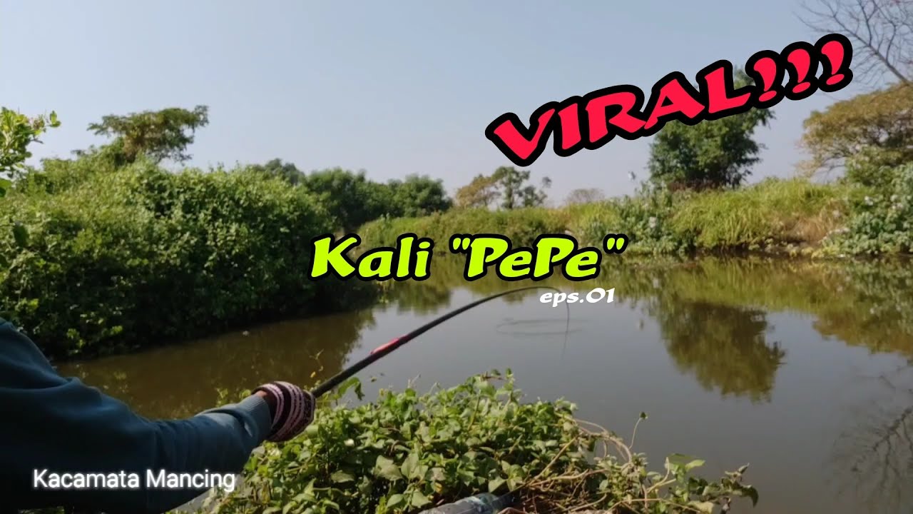 LAGI VIRAL ‼️MANCING LIARAN DI KANDANG IKAN BELANAK ⁉️SPOT MANCING KALI PEPE bag.01 - YouTube