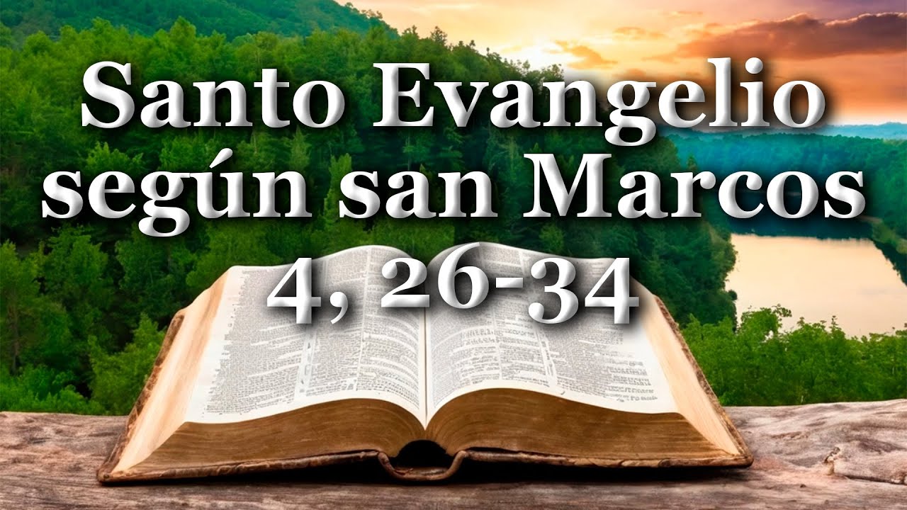 Lectura del santo Evangelio según san Marcos 4, 26-34 | Un granito de ...