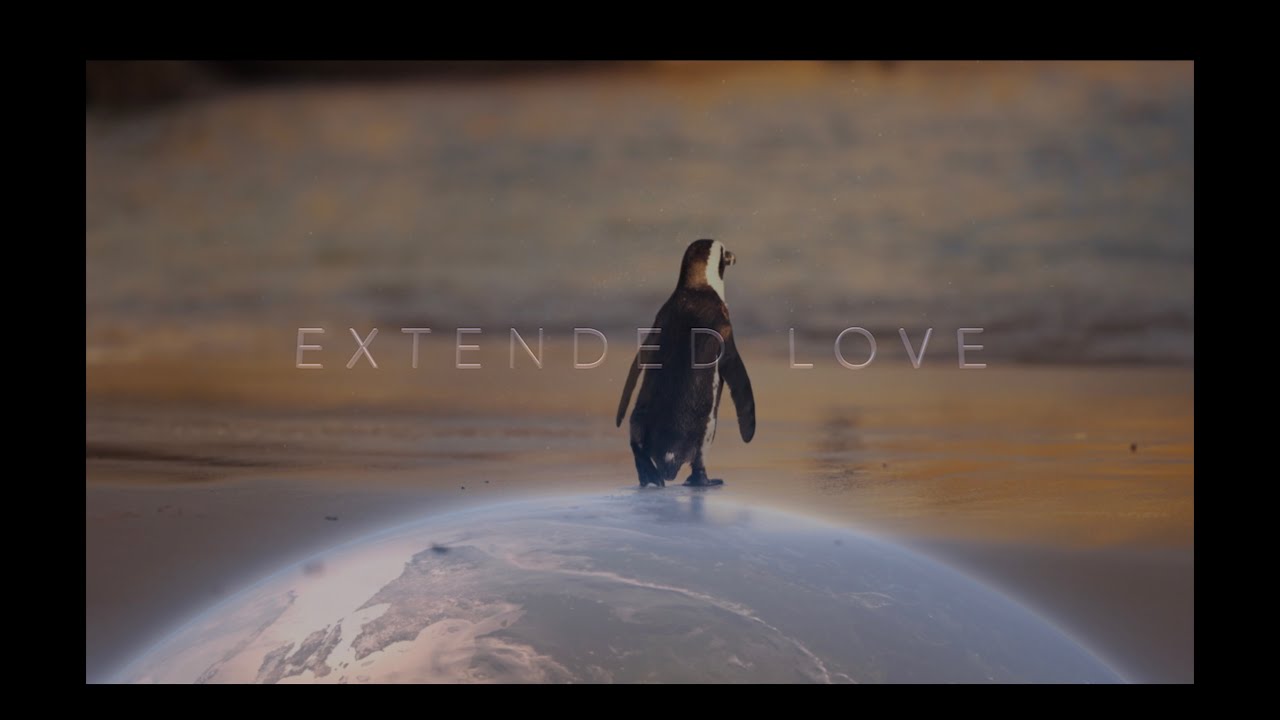 Extended Love | Music by ZICAFLO - YouTube