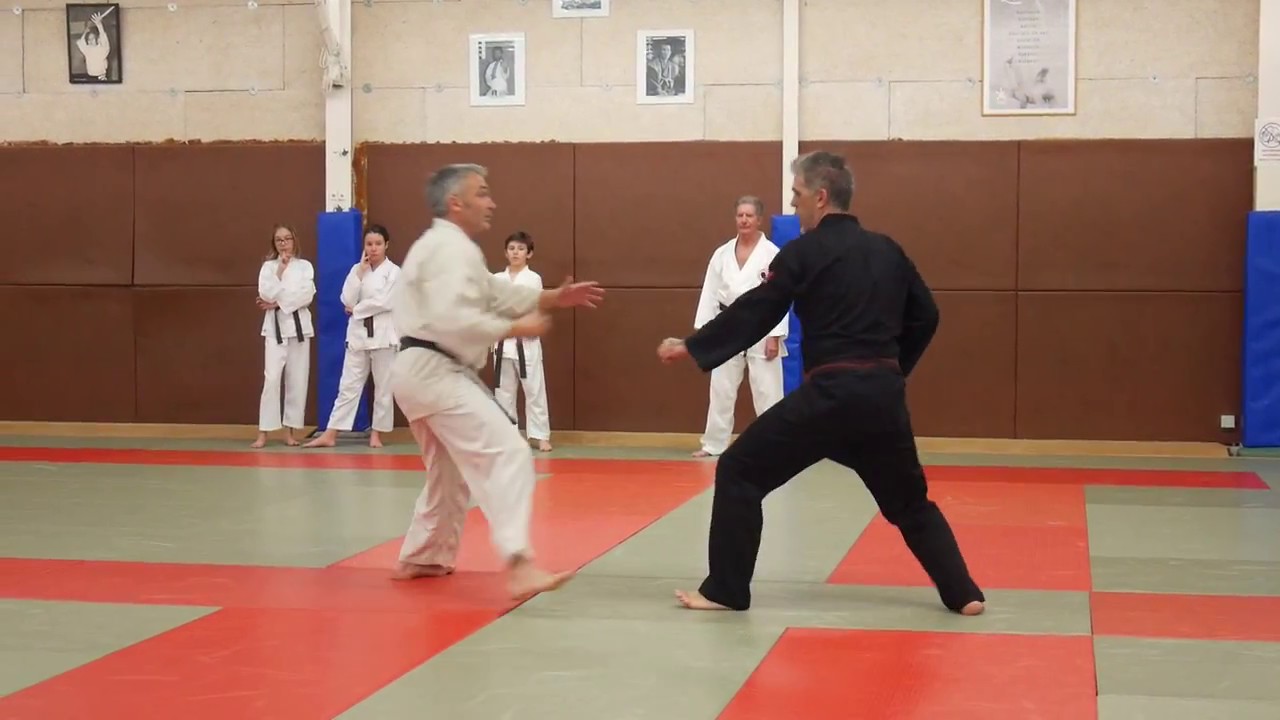 l'efficacité du gedan barai en yamato kan karaté do shotokai - YouTube