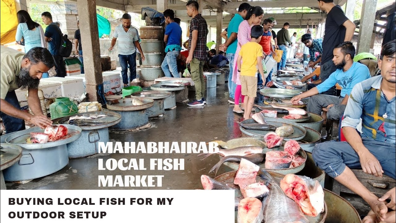 MAHABHAIRAB LOCAL FISH MARKET,💚Tezpur,Assam💚 ( BUYING LOCAL FISH FOR MY ...