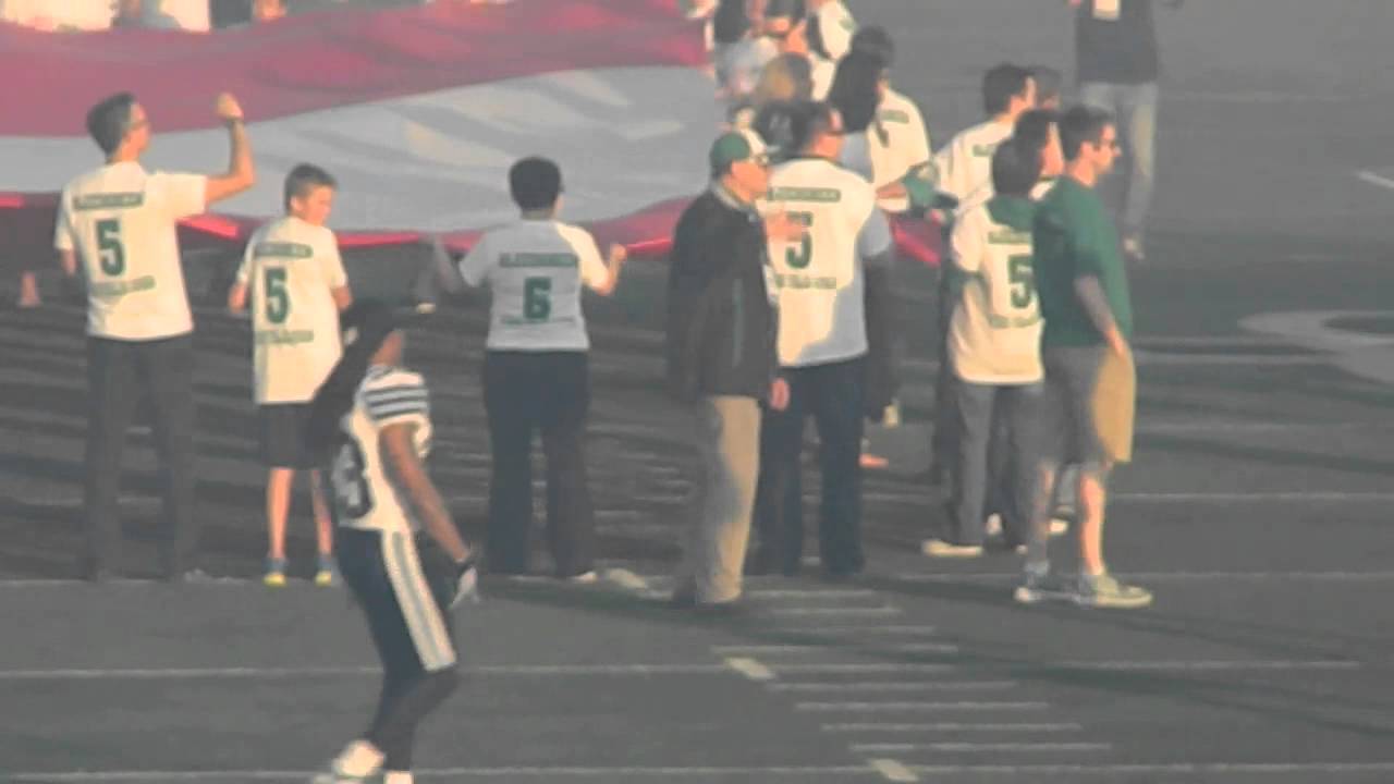 Dwight Anderson pretty tame - YouTube