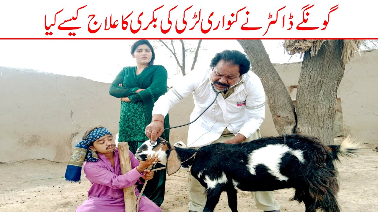 Wada Number Daar Noori Kirlo Gonga Doctor Kirli New Funny Punjabi ...
