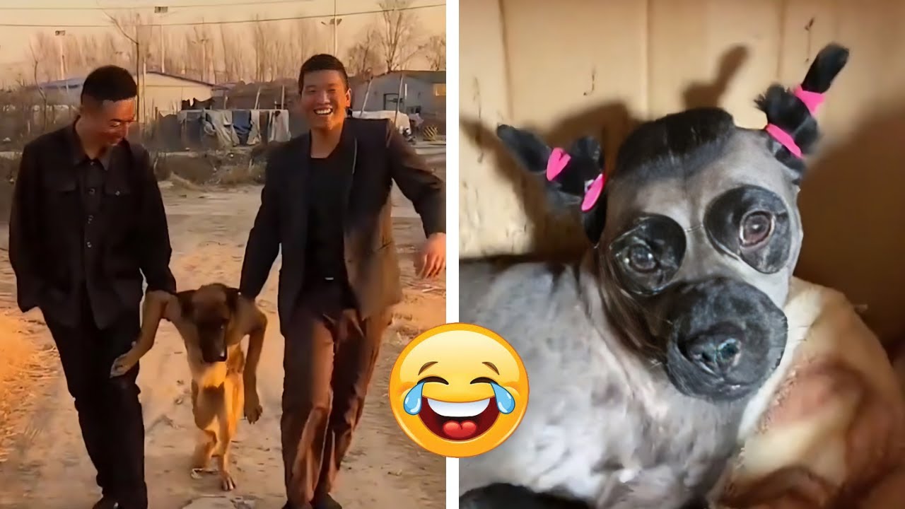 Best Funny Videos - Cutest People Doing Funny Things | Funny Moments ...