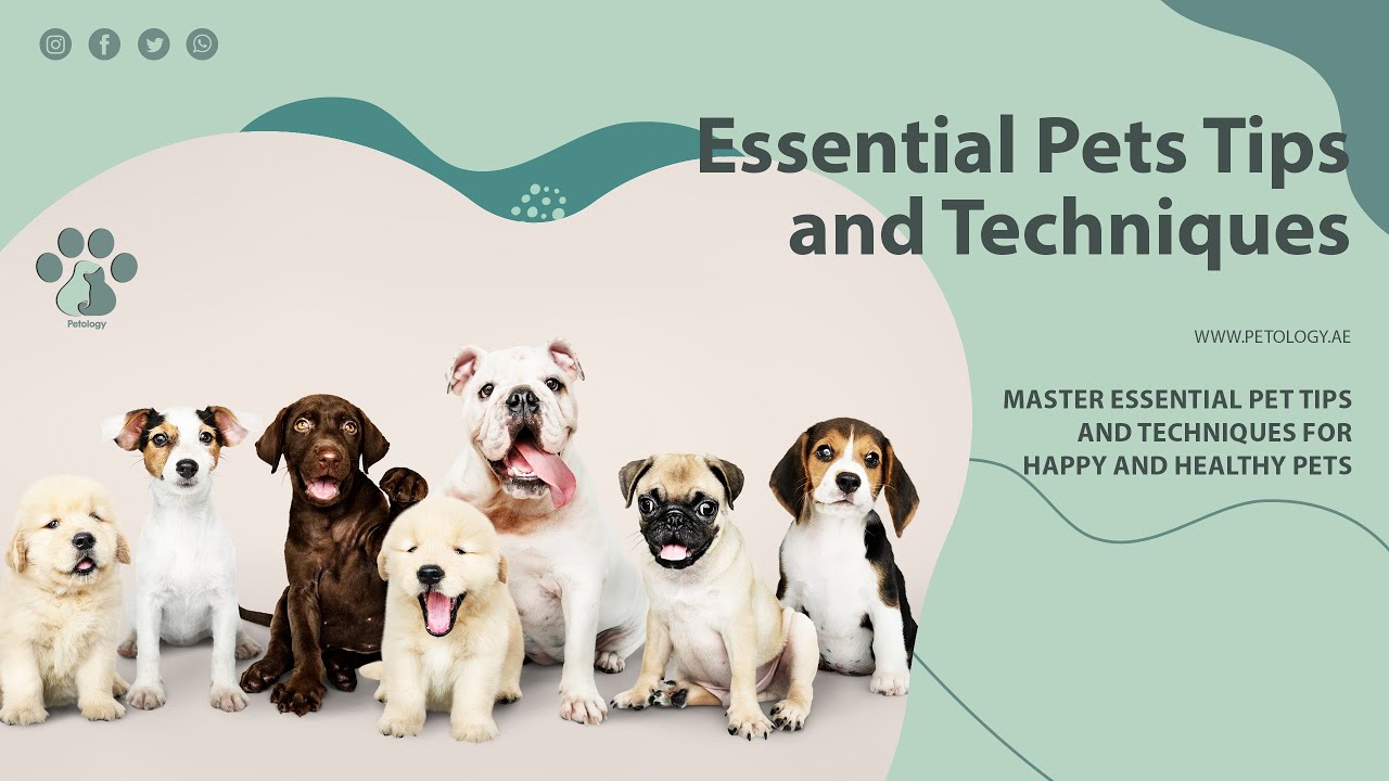 Petology l Master Essential Pet Tips and Techniques for Happy and ...