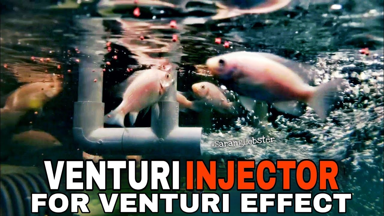 DIY VENTURI INJECTOR | VENTURI EFFECT | without oxygen pump # ...