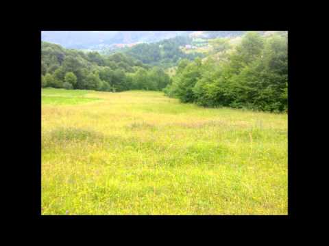 Tovuz Rayonu super menzereler