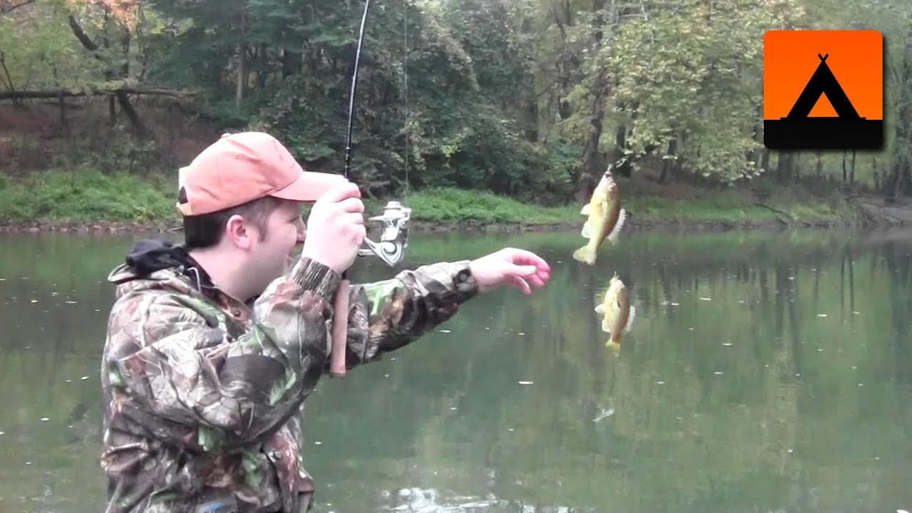 Fishing on the Juniata River - Smallmouth Bass, Bluegill, and a Fish ...